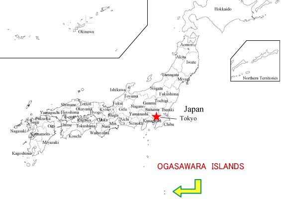 Ogasawara Islands, one of the UNESCO World Heritages in Japan | Visit ...